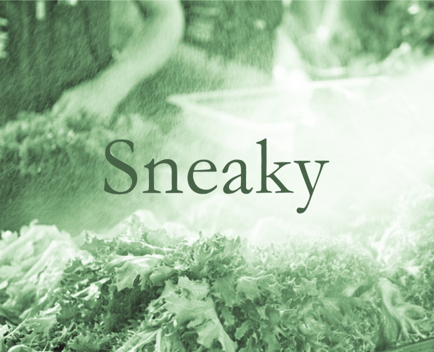 Susie Shellenberger – author and speaker