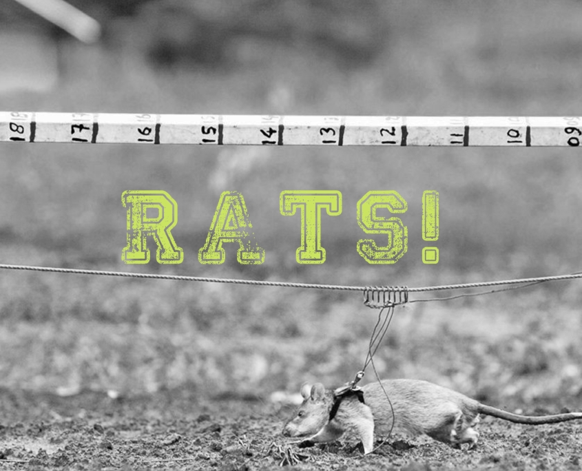 Susie Shellenberger – author and speaker