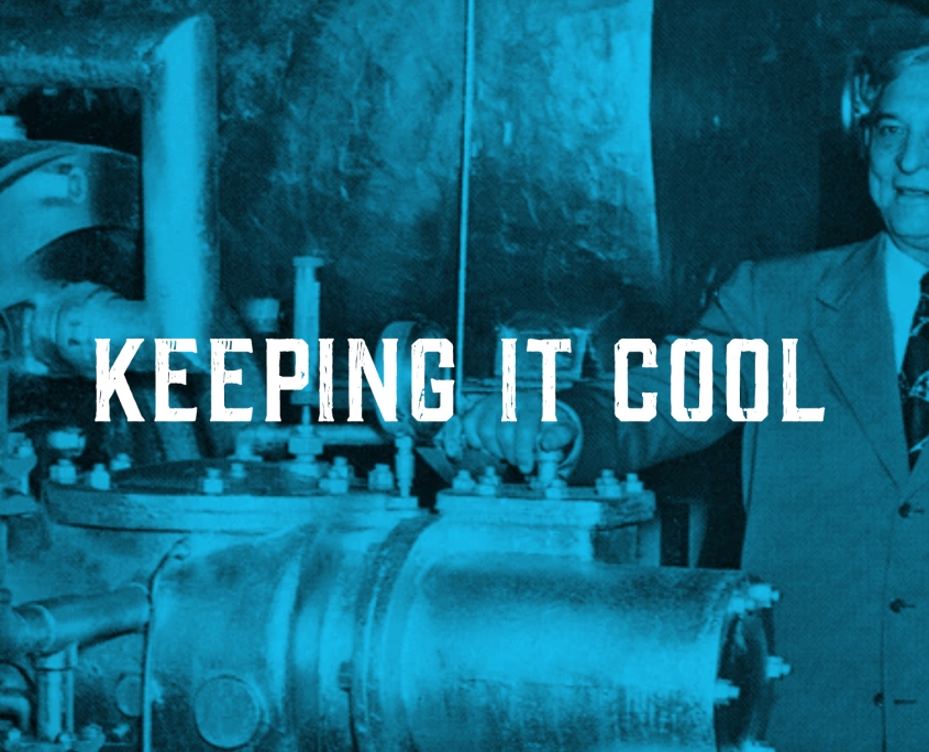 Susie Shellenberger – author and speaker