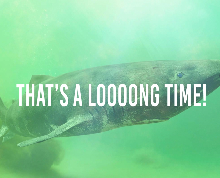 Susie Shellenberger – author and speaker